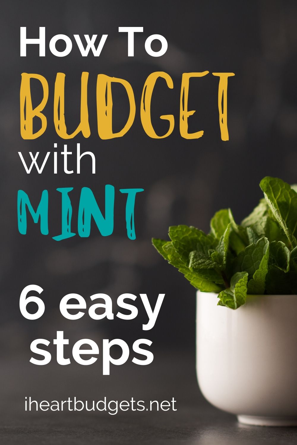 Mint Review 2020: The Best Free Budgeting App?